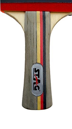 STAG 5 Star Table Tennis TT Racket – Setsons.in